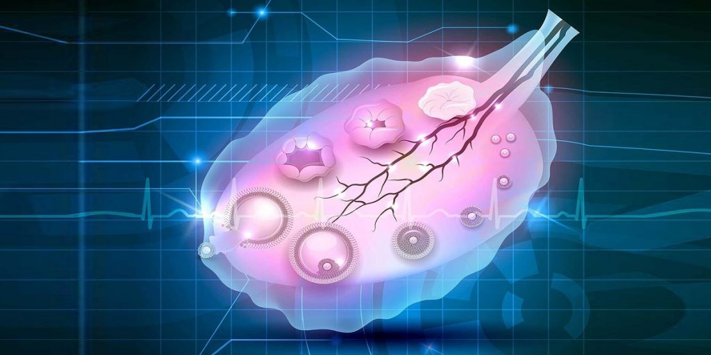 La Courbe De Température Et Le Calcul De L’ovulation